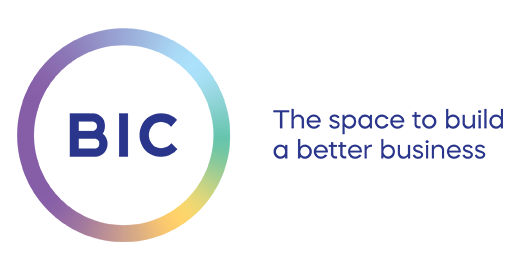 Self-Employment: Making it Work for You - North East BIC