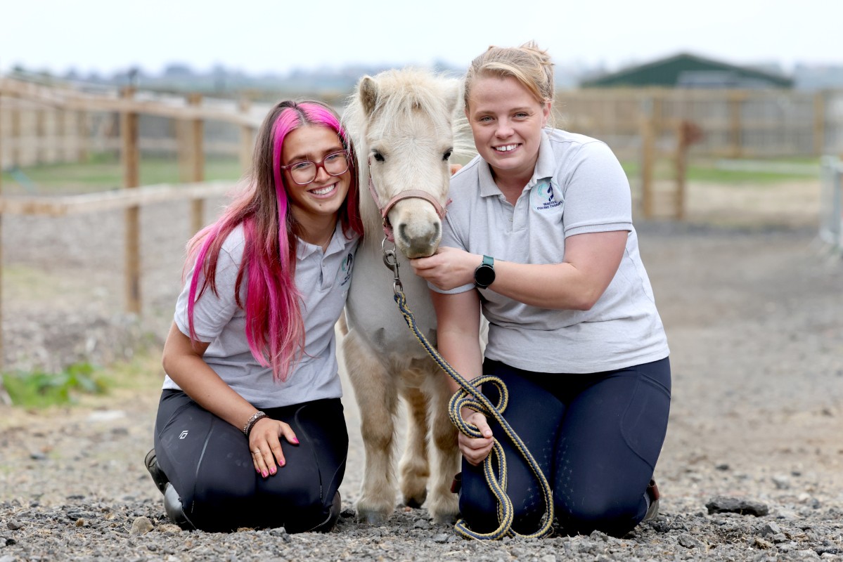 Wagtail Equine Therapy - North East BIC